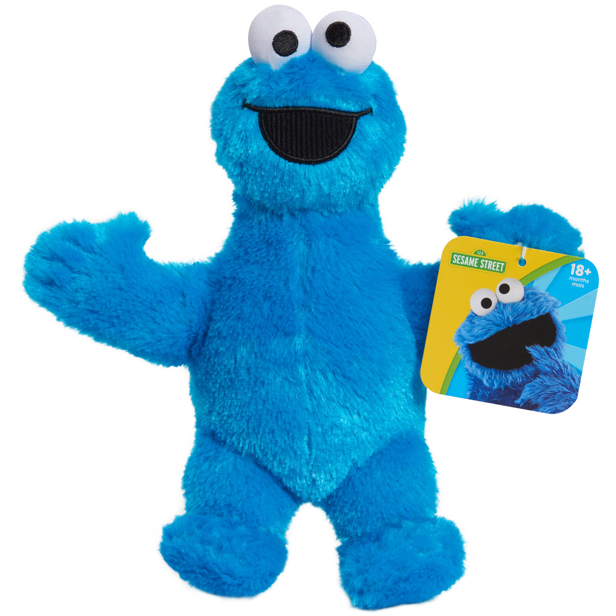 Sesame Street Friends Plush (Styles Vary) – The Entertainer Pakistan